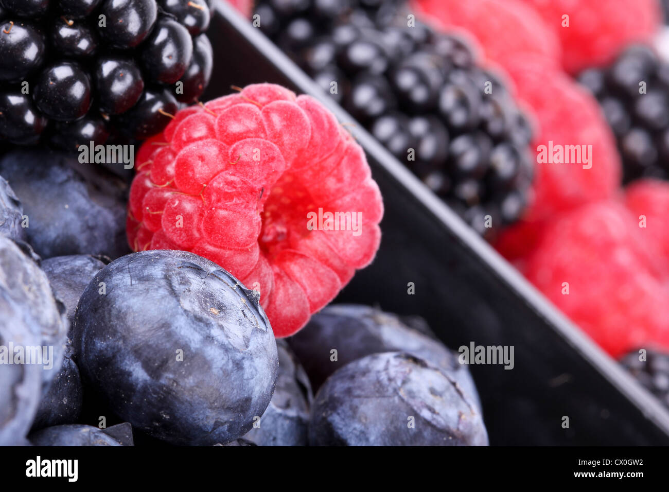 Bog bilberries hi-res stock photography and images - Alamy