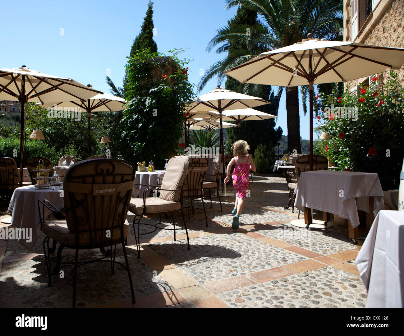 El olivo mallorca High Resolution Stock Photography and Images - Alamy