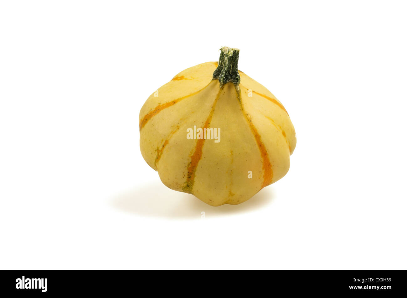 Close up pumpkin Cut Out Stock Images & Pictures - Alamy