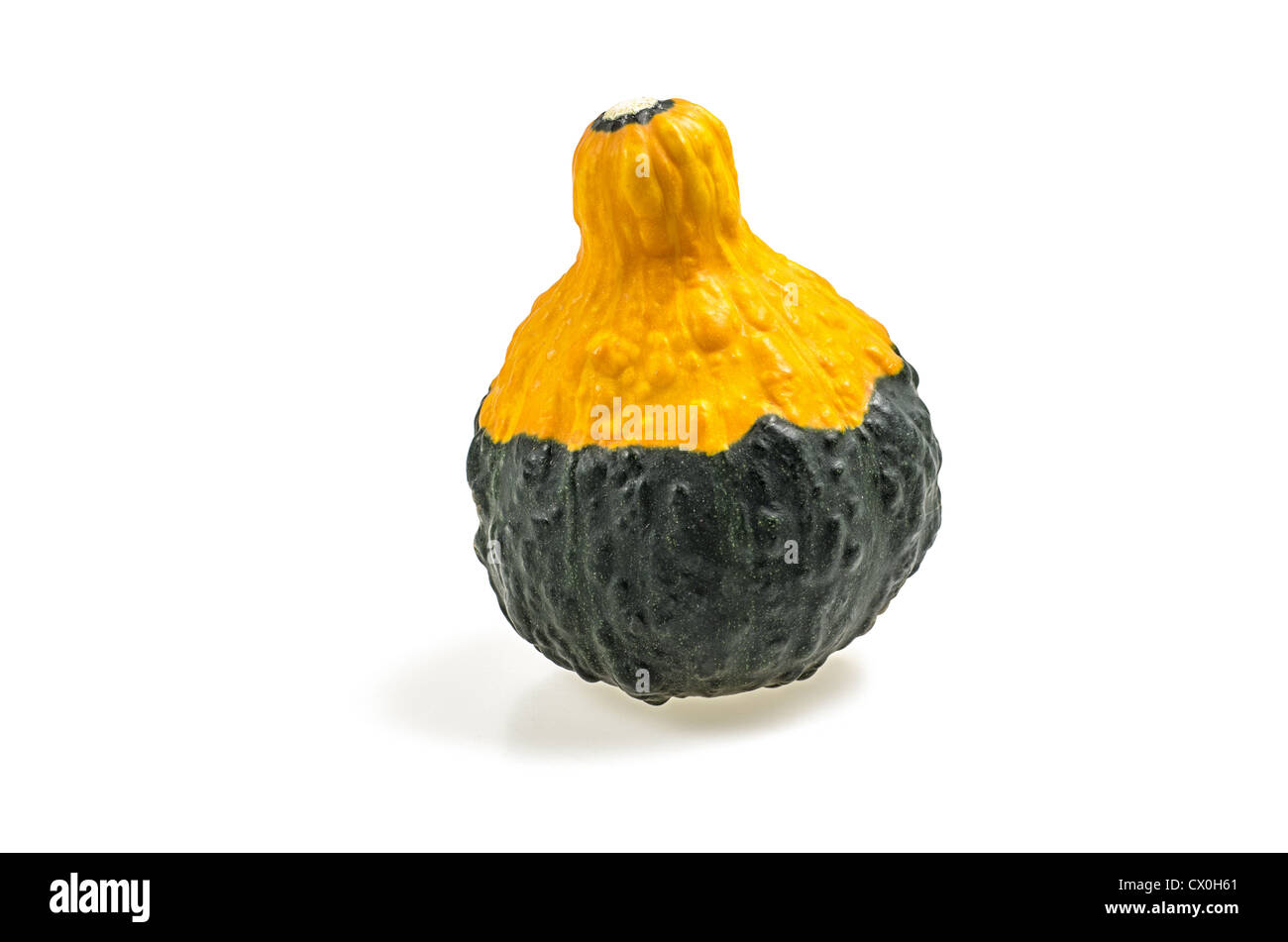 Pumpkin ripe gourd fall Cut Out Stock Images & Pictures - Alamy
