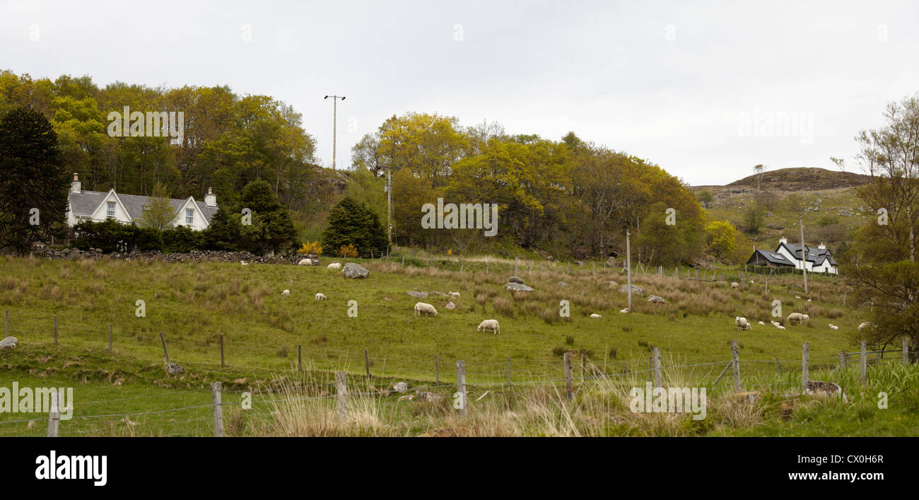 Smallholding and farming at Lower Diabaig, Ross-shire, Scotland Stock ...