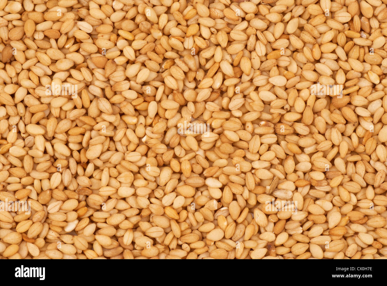 Full frame take of sesame seeds, food background Stock Photo - Alamy
