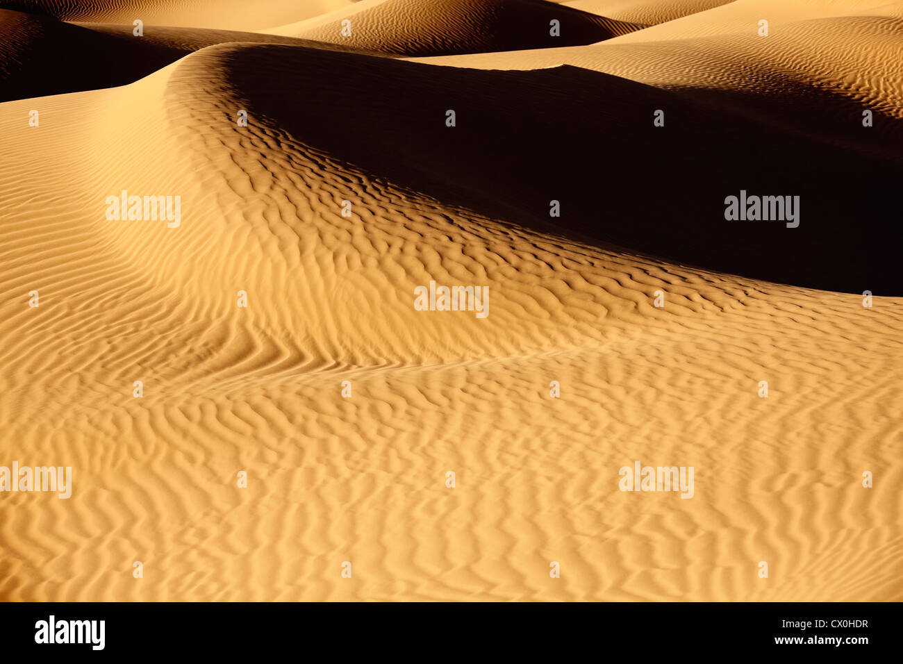 Sahara desert sand dunes with shadows Stock Photo - Alamy