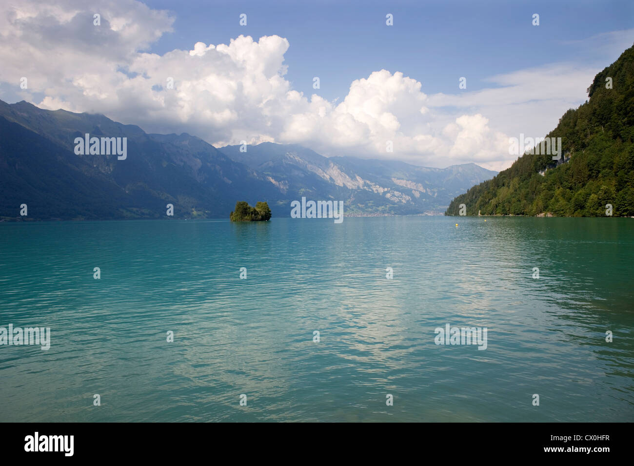Small island in the lake, Interlaken, Switzerland Stock Photo - Alamy