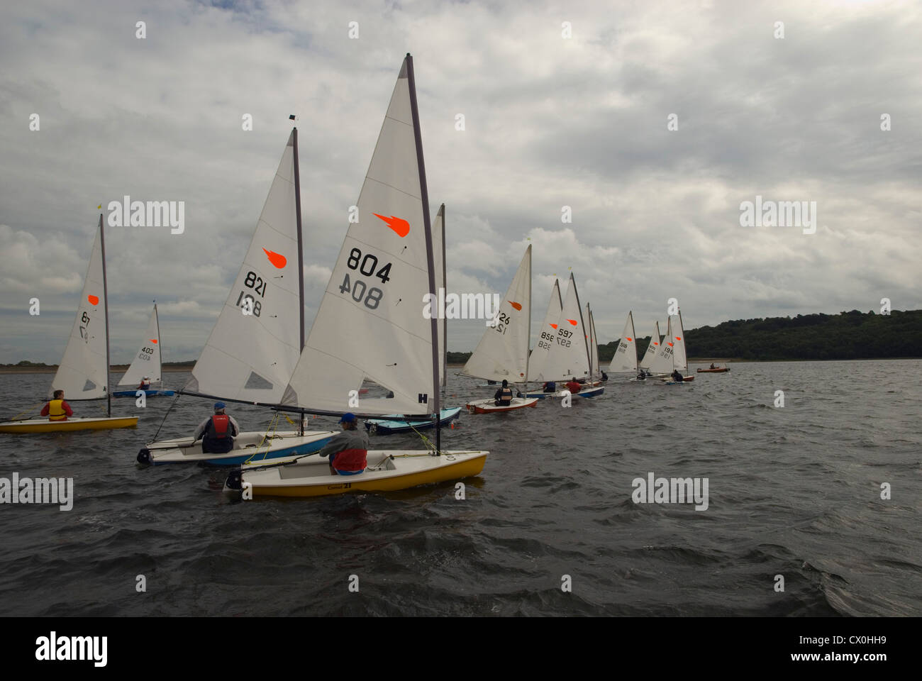 Dinghy race start line Stock Photo - Alamy