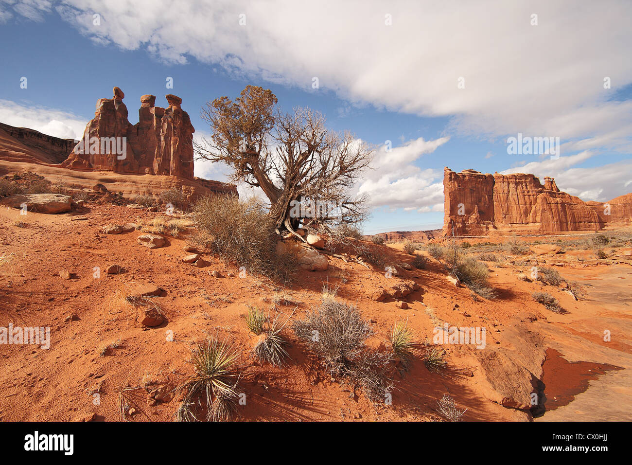 The sandstone rock formation know as the Three Gossips in Arches ...