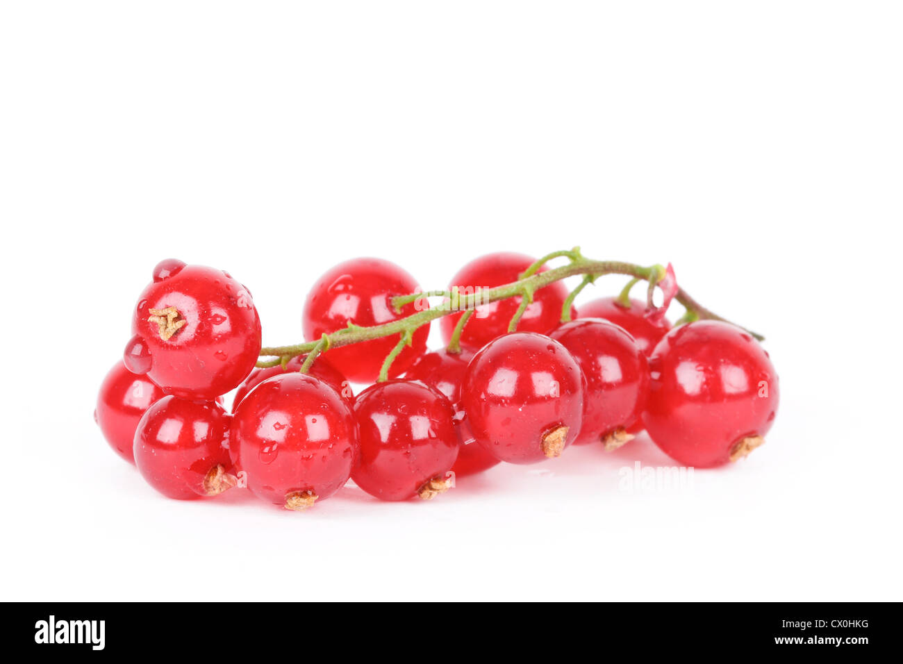 Red ripe currants on Cut Out Stock Images & Pictures - Alamy