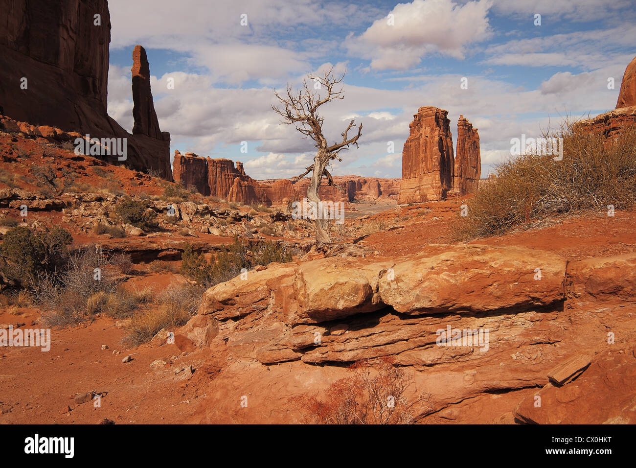 Sandstone monuments along the Park Avenue trail in Arches National Park ...