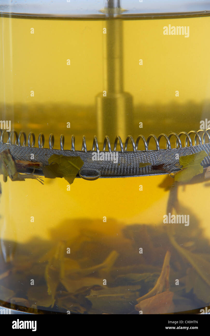 Green tea brewing in glass teapot Stock Photo - Alamy