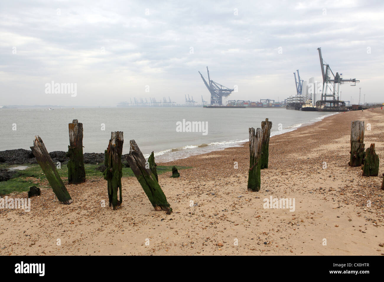 Beach at Languard Fort, with cranes at Trinity Dock Quay in the ...