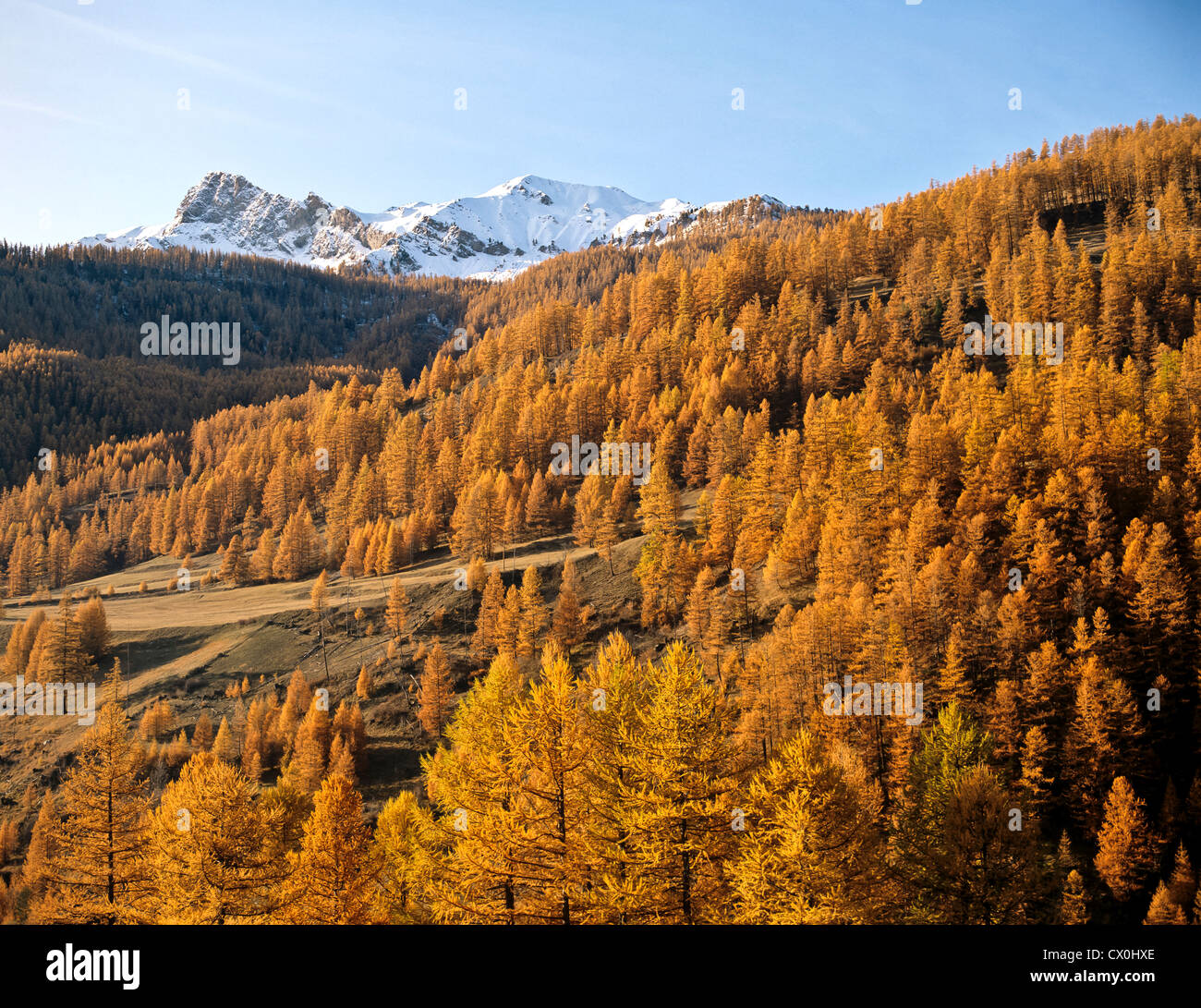 Queyras hi-res stock photography and images - Alamy