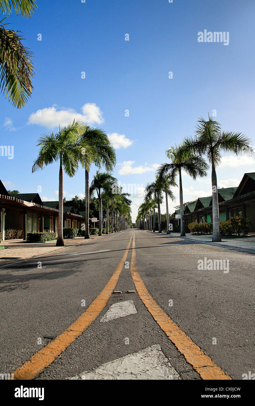 Dividing house hi-res stock photography and images - Alamy