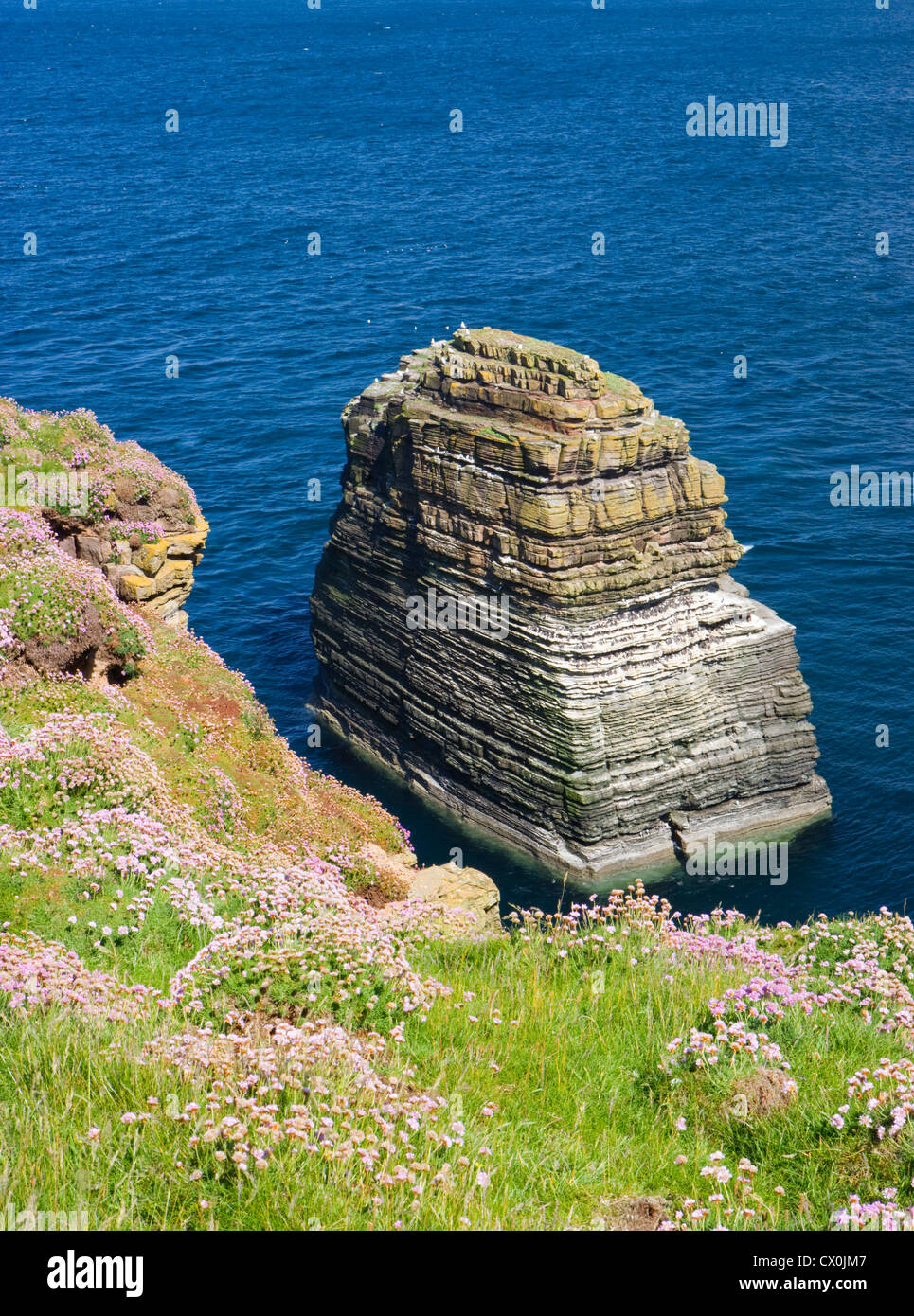 The Knee, Duncansby Head, Highland, Scotland, UK Stock Photo - Alamy