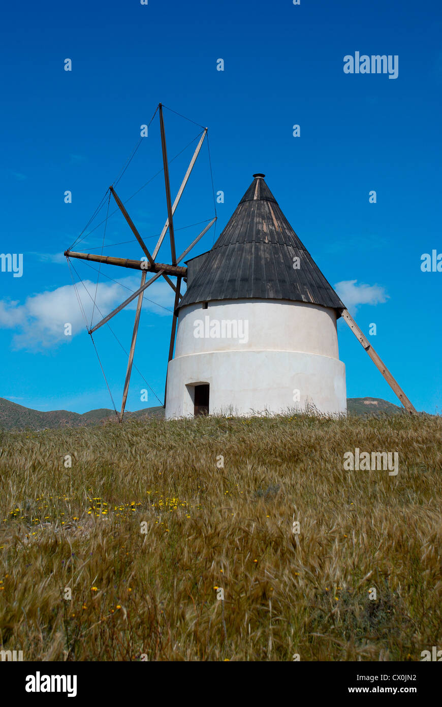 Traditional windmill amidst meadows Stock Photo - Alamy