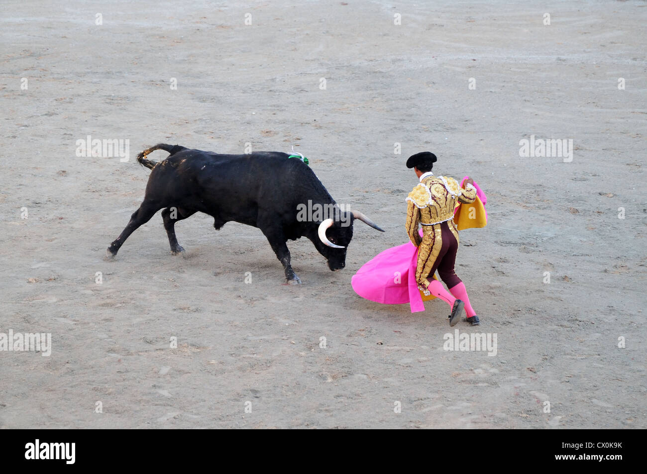 Bull Charging Matador