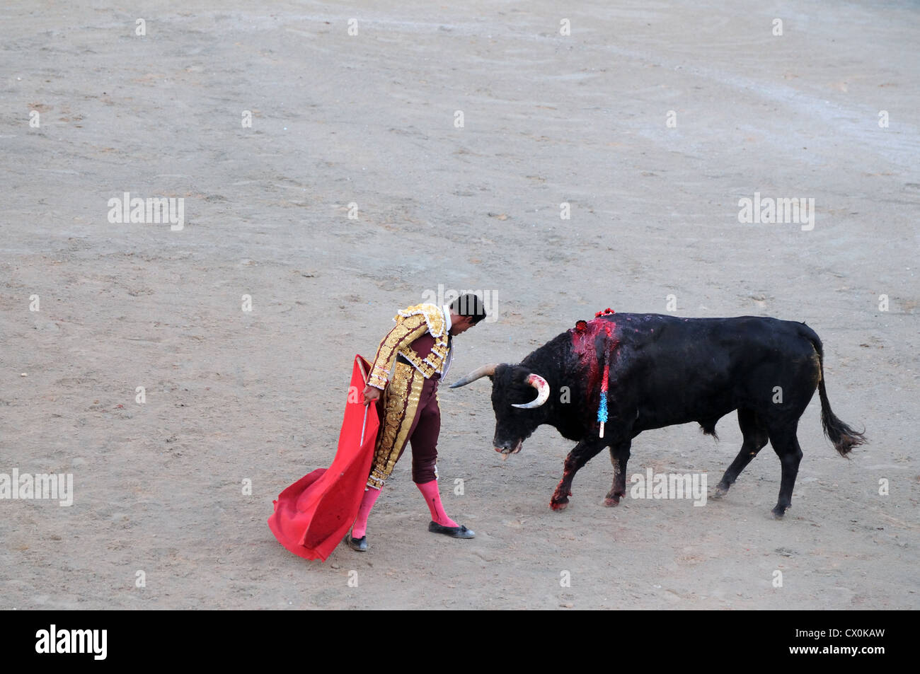 Black Bull Fight High Resolution Stock Photography and Images - Alamy