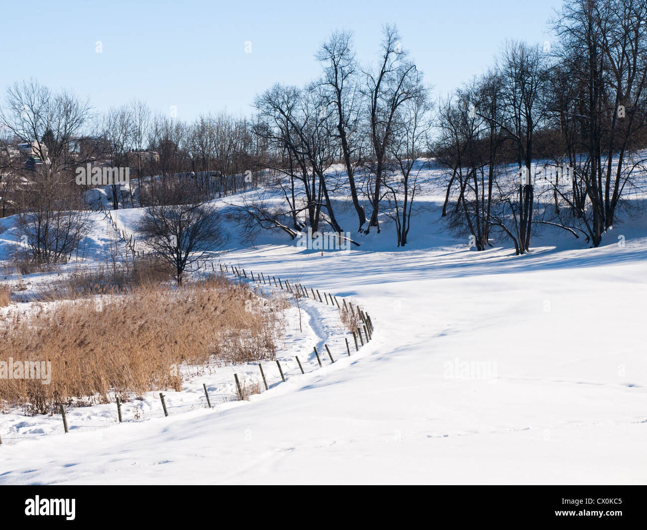 Oslo snow trees hi-res stock photography and images - Alamy