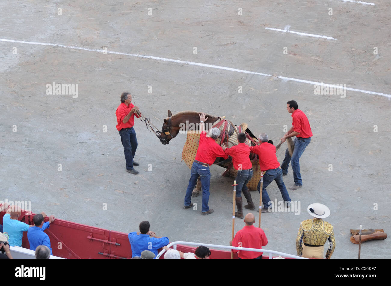 Men helping horse to stand upright after being thrown by bull in ...
