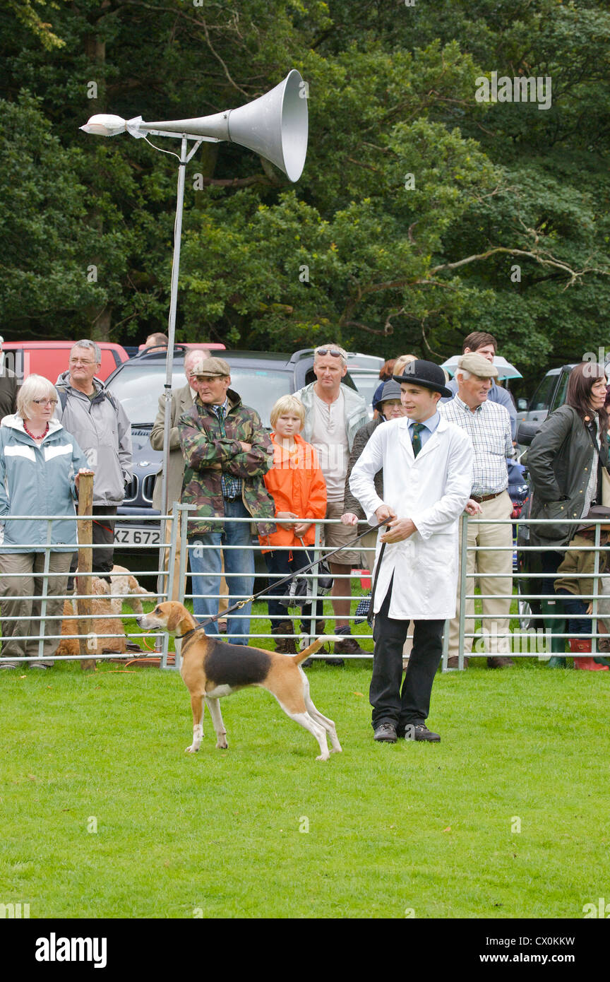 Rydal sheepdog trials and hound show hi-res stock photography and ...