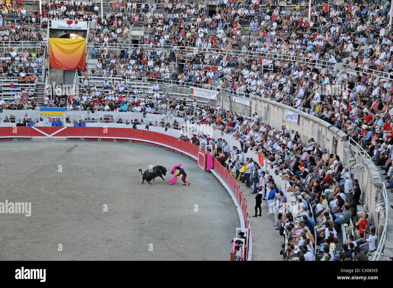 Audience watch matador using red cape to provoke black bull in bull ...