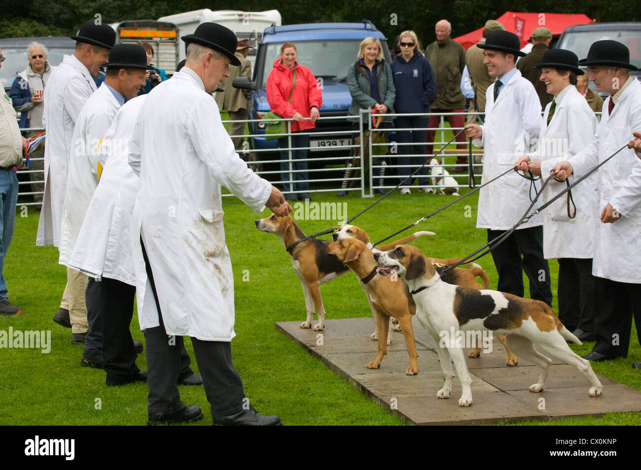 Rydal sheepdog trials and hound show hi-res stock photography and ...