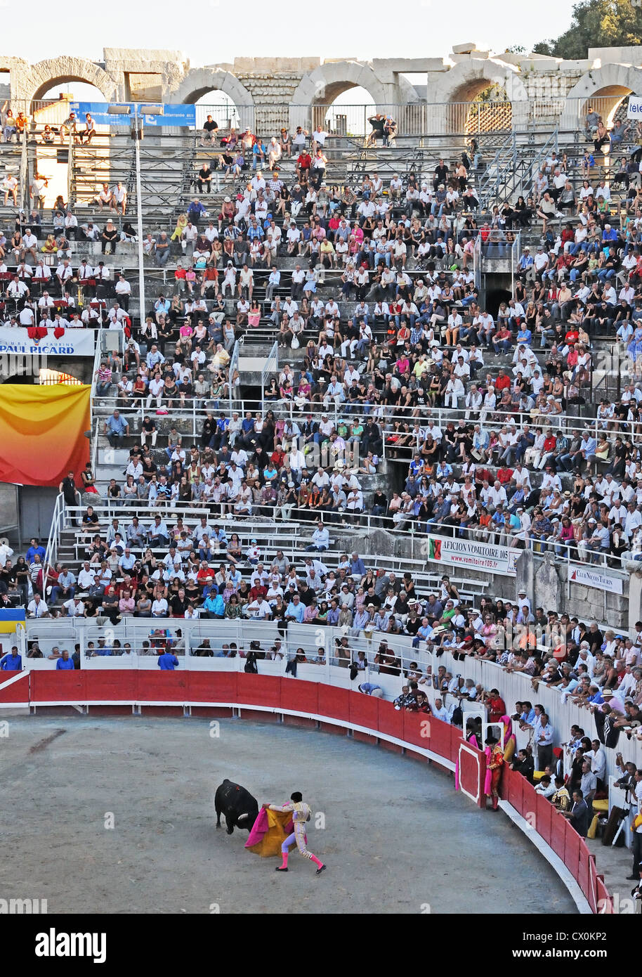 Audience watch matador using red cape to provoke black bull in bull ...