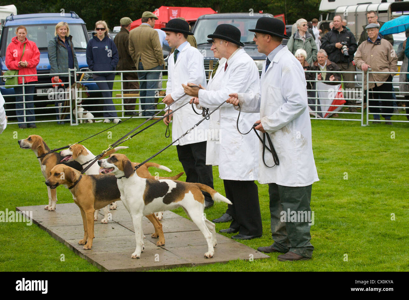 Hounds being showed at Rydal Sheepdog Trials and Hound Show, Rydal Hall ...