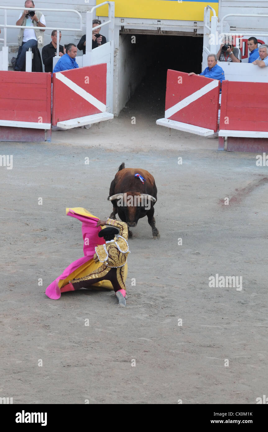 Angry bull hi-res stock photography and images - Alamy