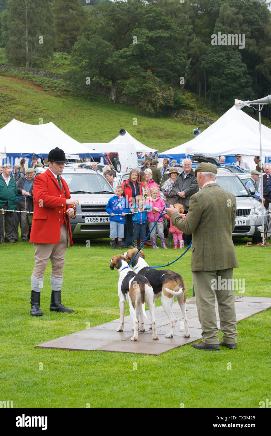 Rydal sheepdog trials and hound show hi-res stock photography and ...