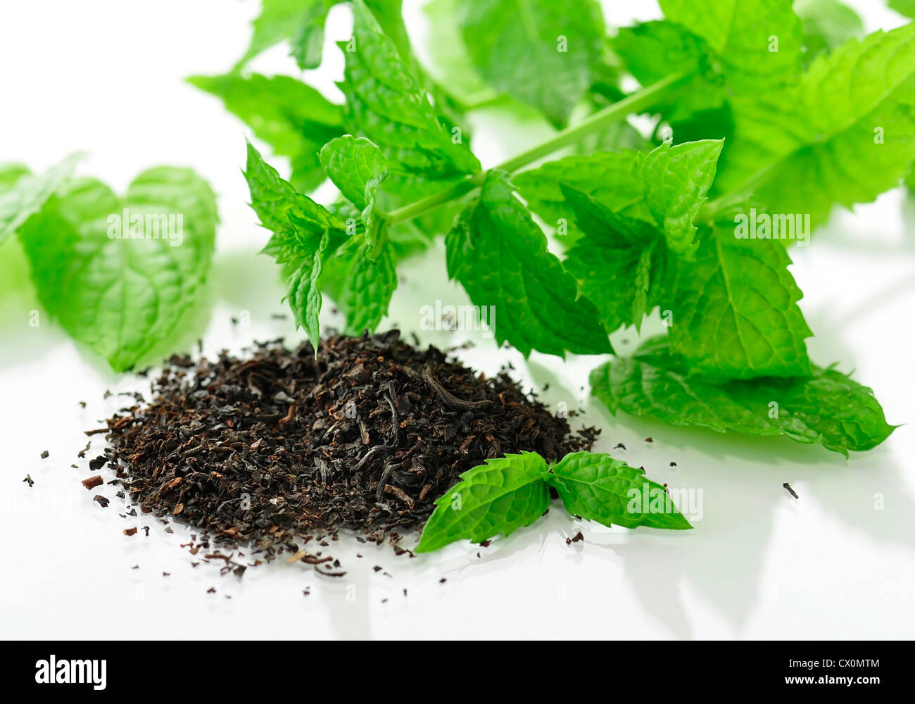 Black loose tea with fresh mint Stock Photo - Alamy