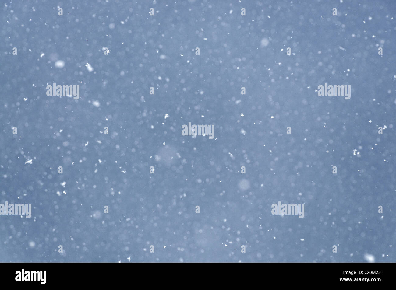 Falling snow hi-res stock photography and images - Alamy