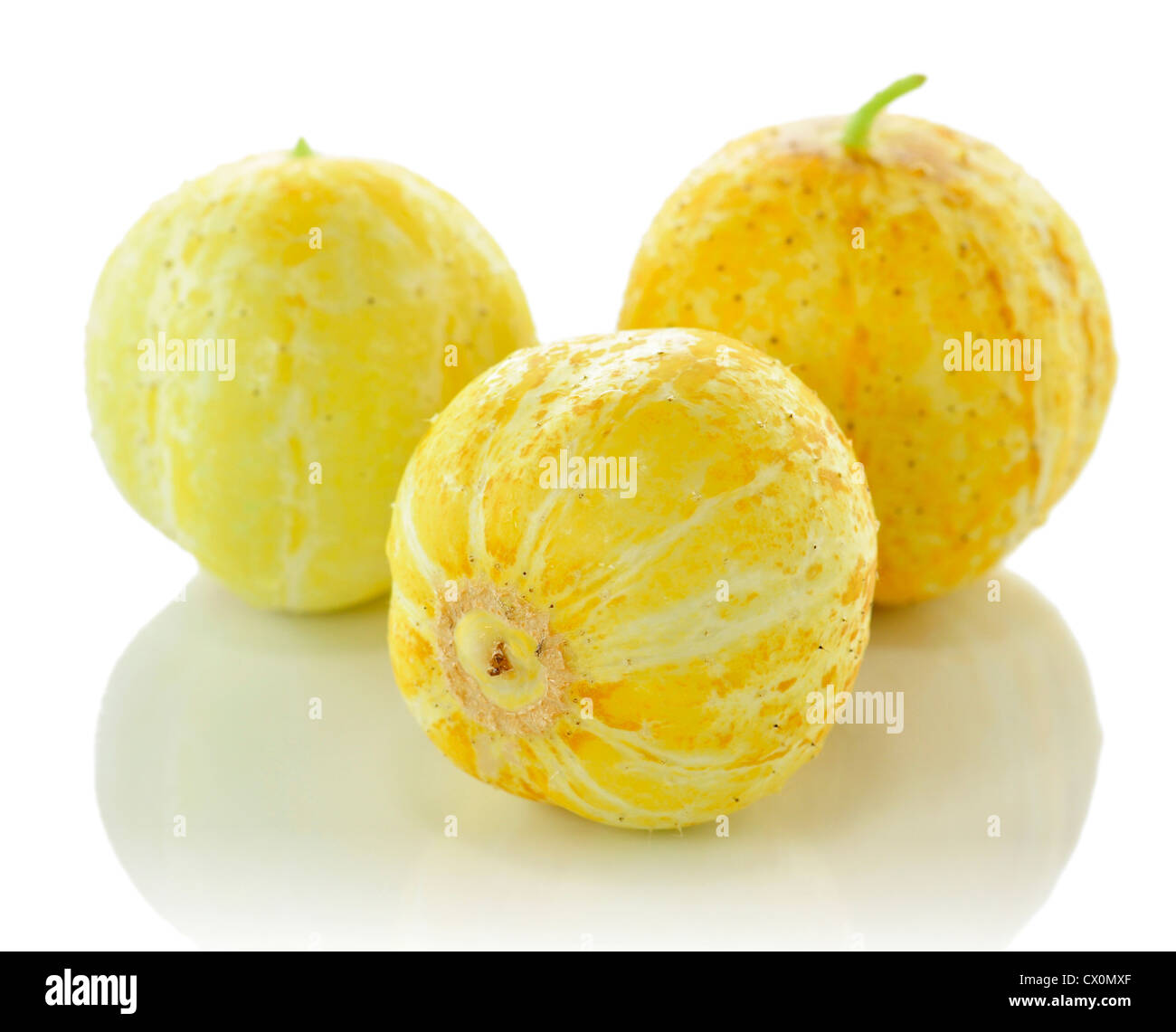 yellow cucumbers on white background Stock Photo - Alamy