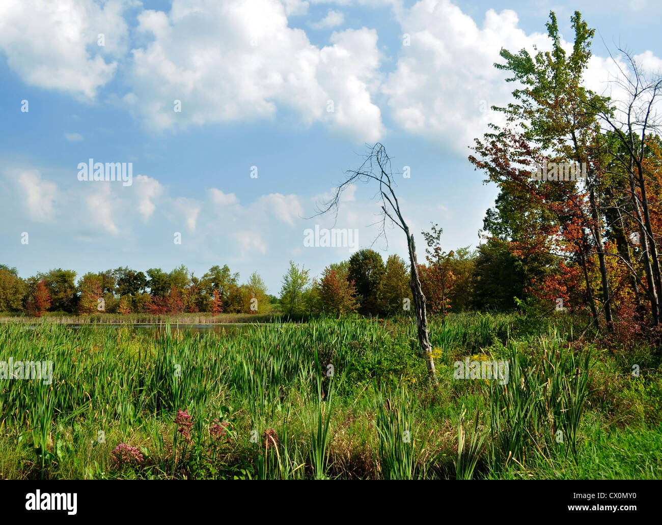 early fall landscape with lake and trees Stock Photo - Alamy