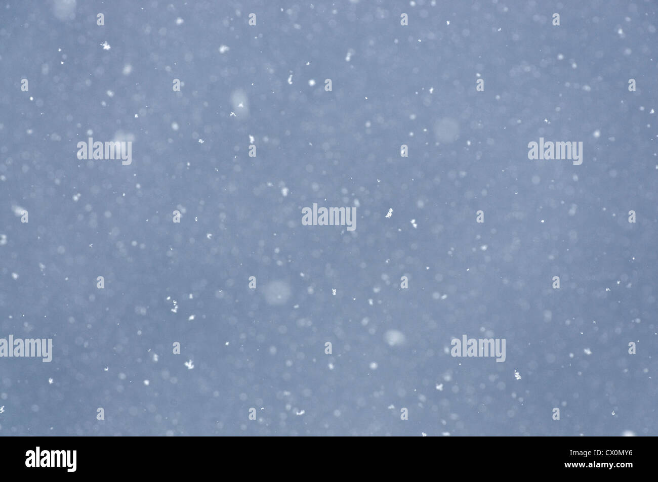 Snow falling out of the sky Stock Photo - Alamy