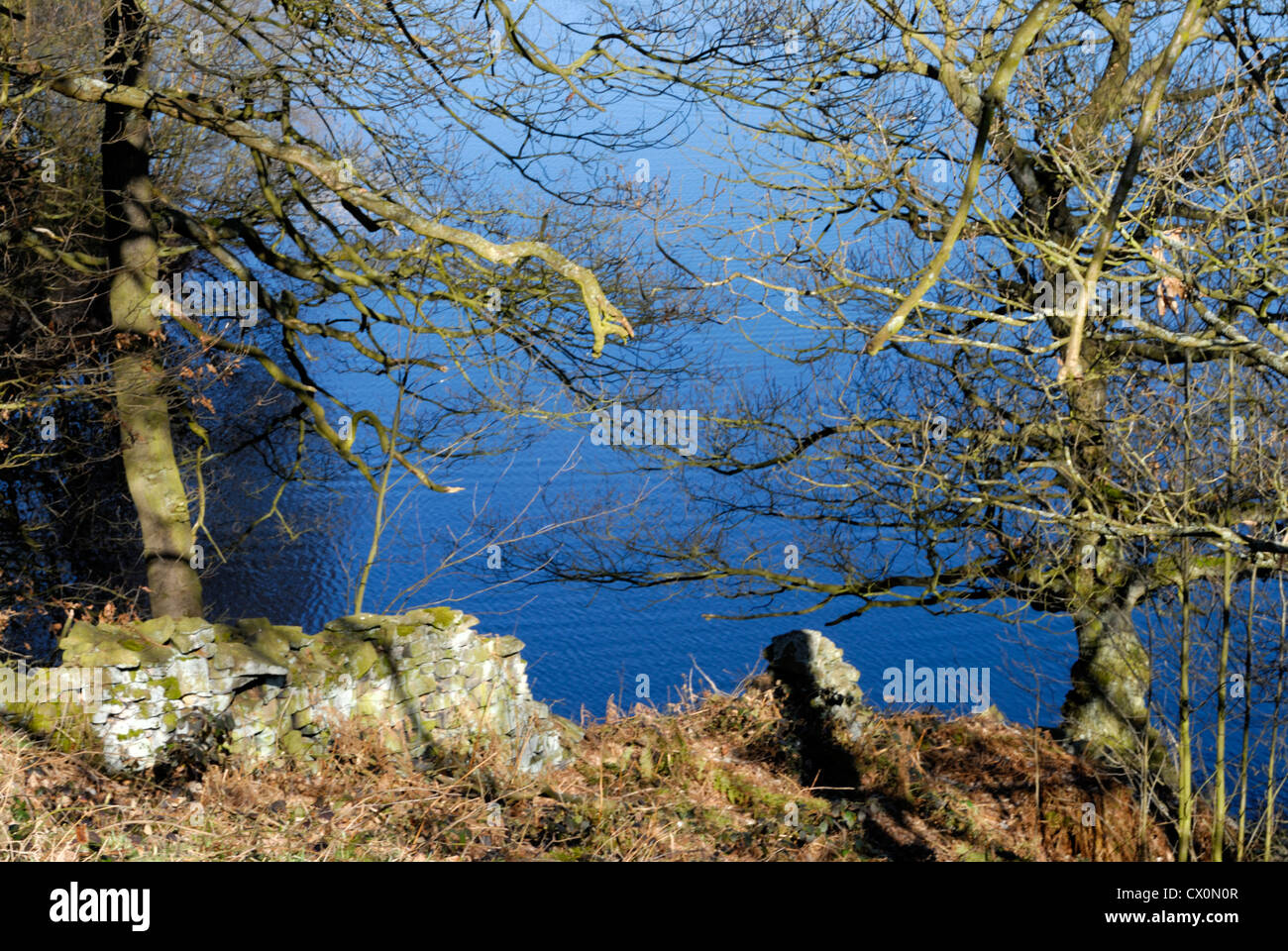 Views of farms and their animals in the rugged landscape of the south ...