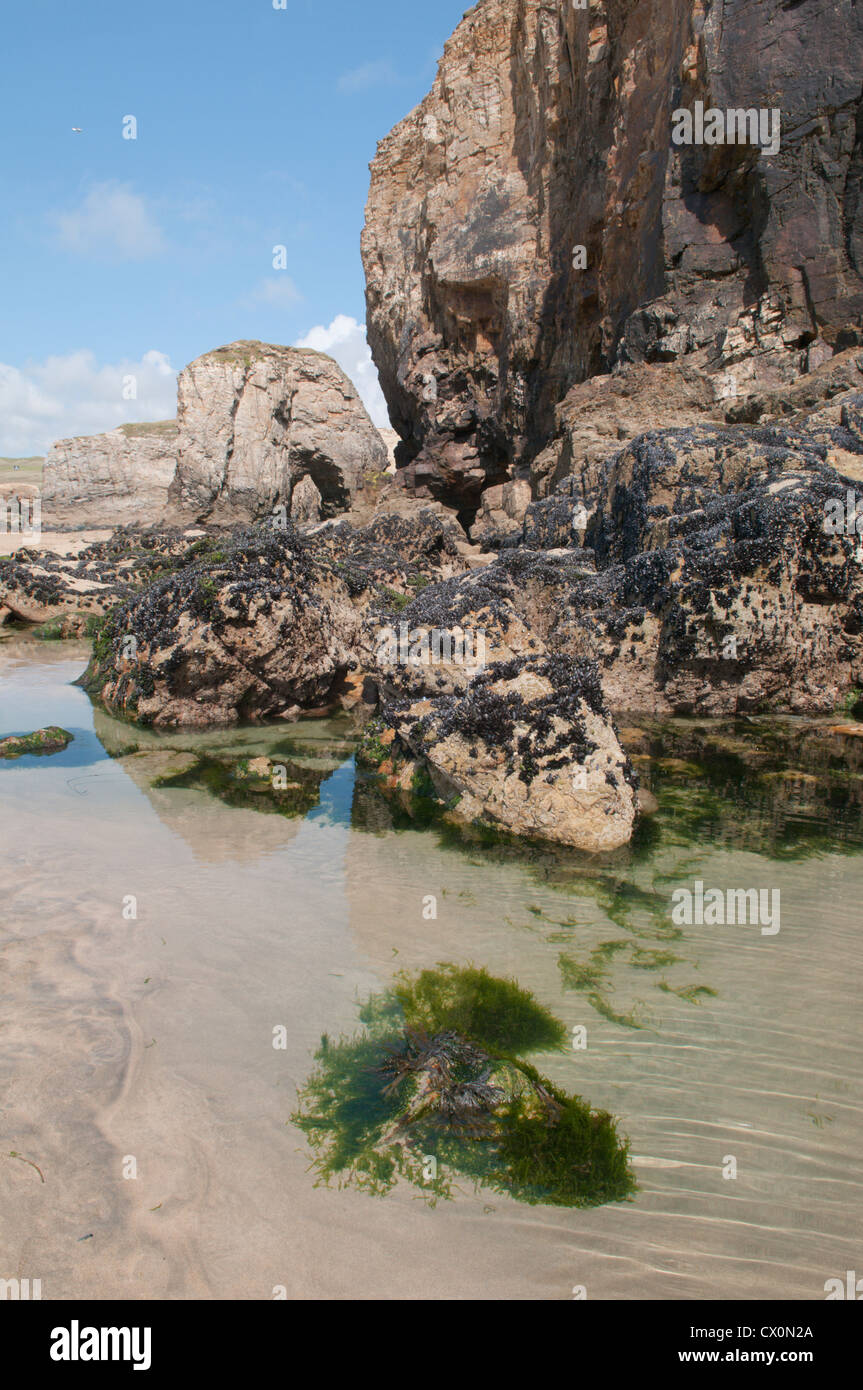 View of rock formations, rock pools and Mussels (Mytilus edulis) on ...