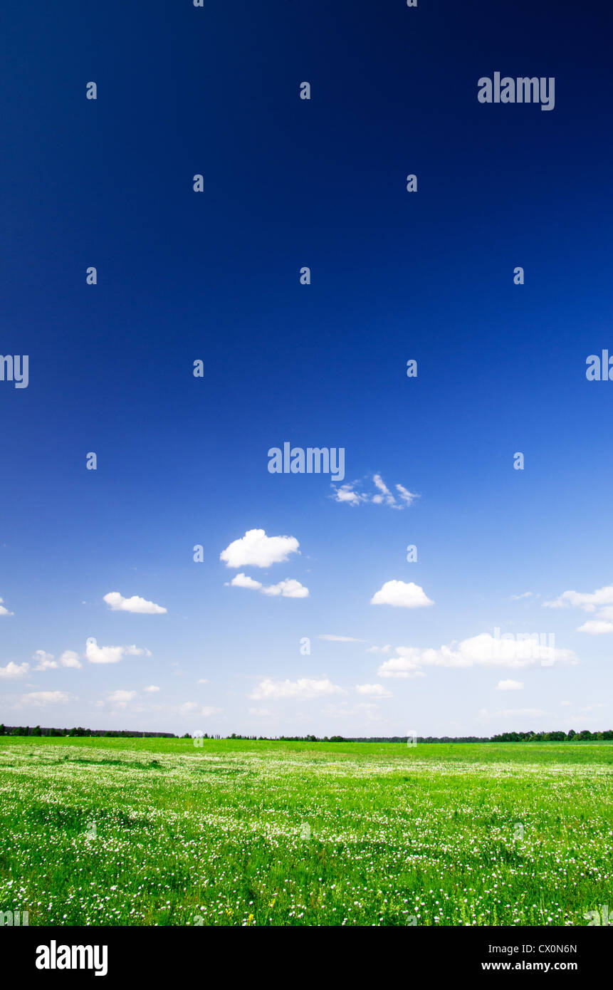 field on a background of the blue sky Stock Photo - Alamy
