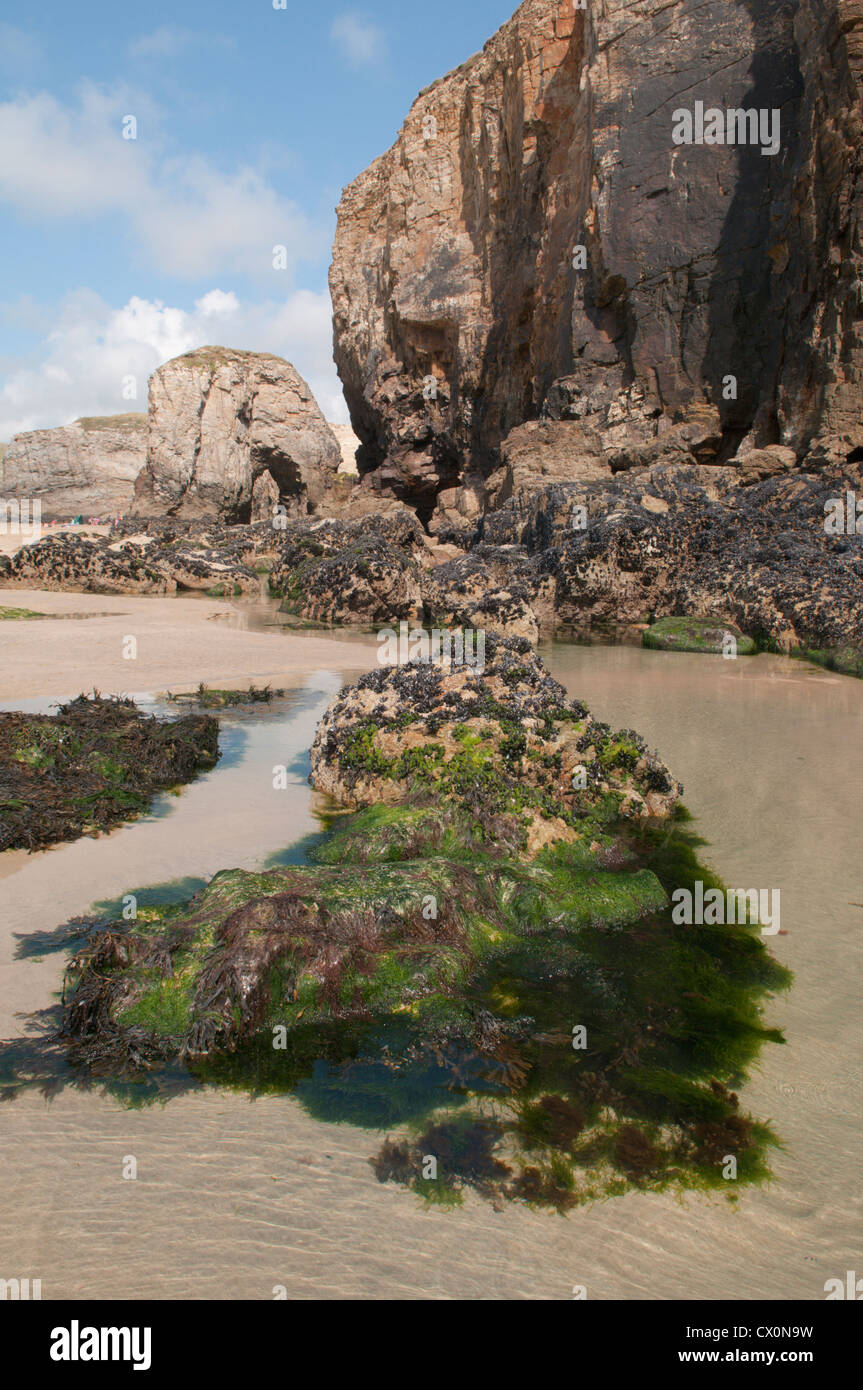 View of rock formations, rock pools and Mussels (Mytilus edulis) on ...