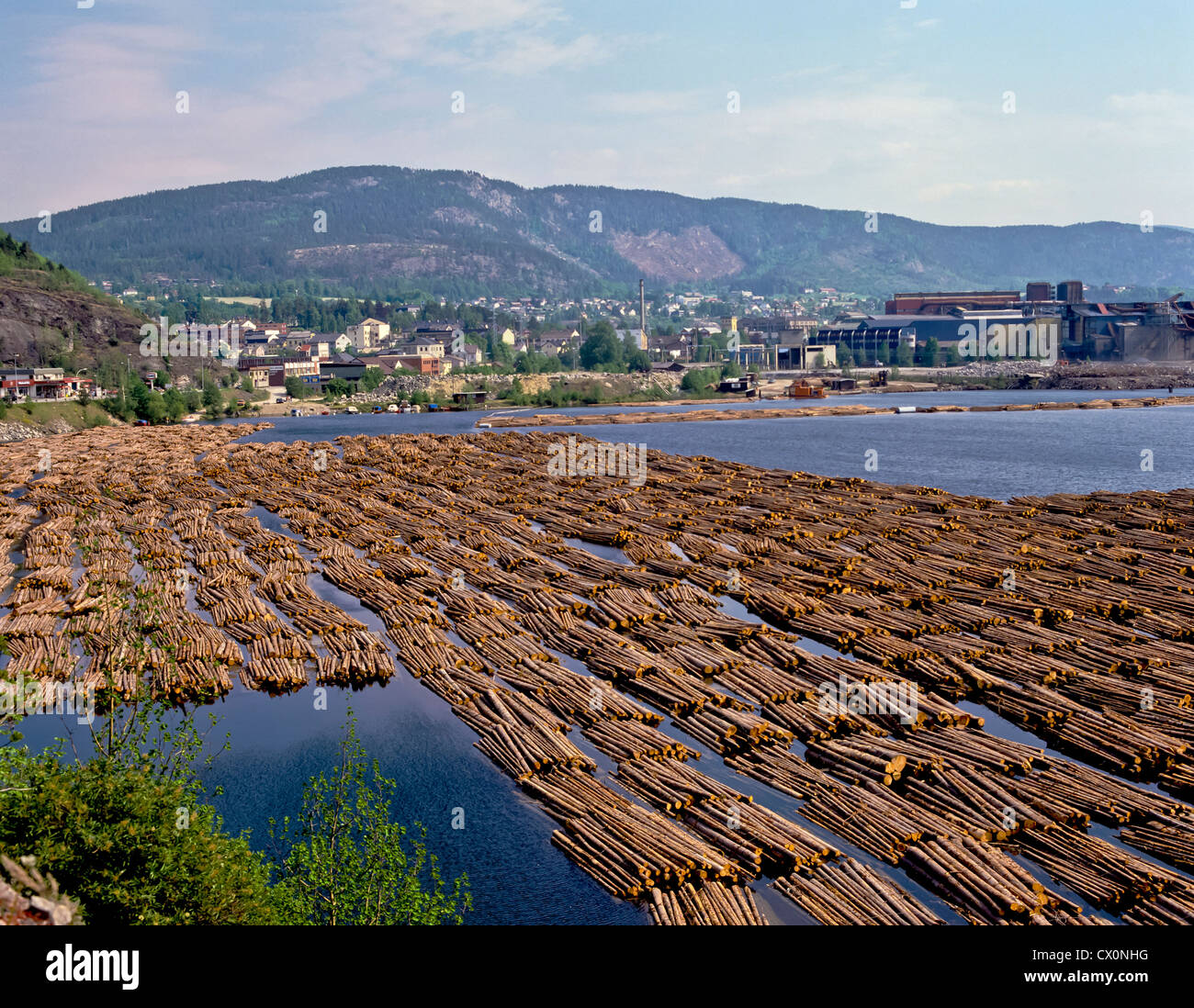 8233. Log rafts, Notodenn, Norway, Europe Stock Photo - Alamy