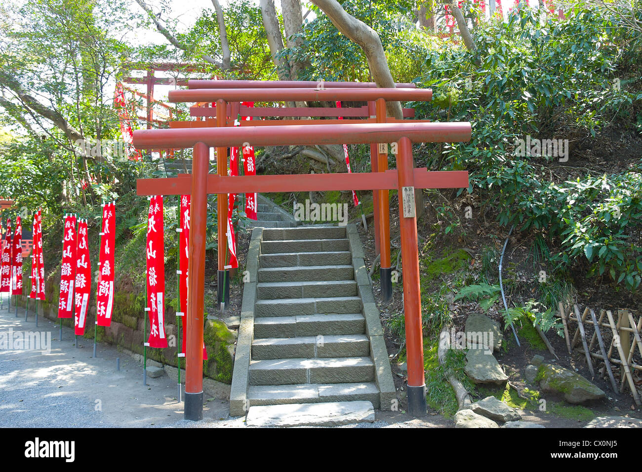 Corridor of torii gates in Maruyama Inari shrine, Kamakura, Japan Stock ...