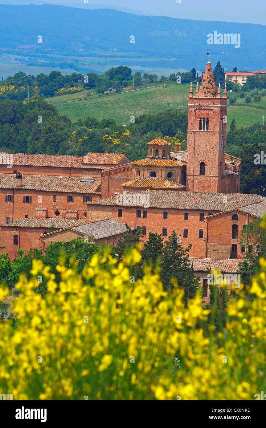 Monte oliveto Maggiore, Abbey of Monte Oliveto Maggiore, Asciano, Siena ...