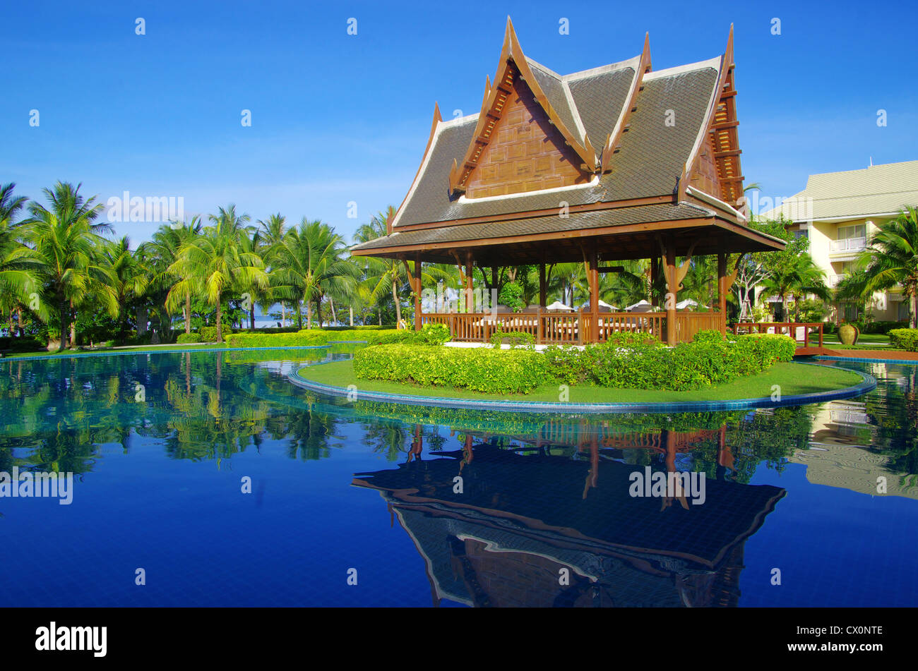 tropical swimming pool with coconut tree and white umbrella Stock Photo ...