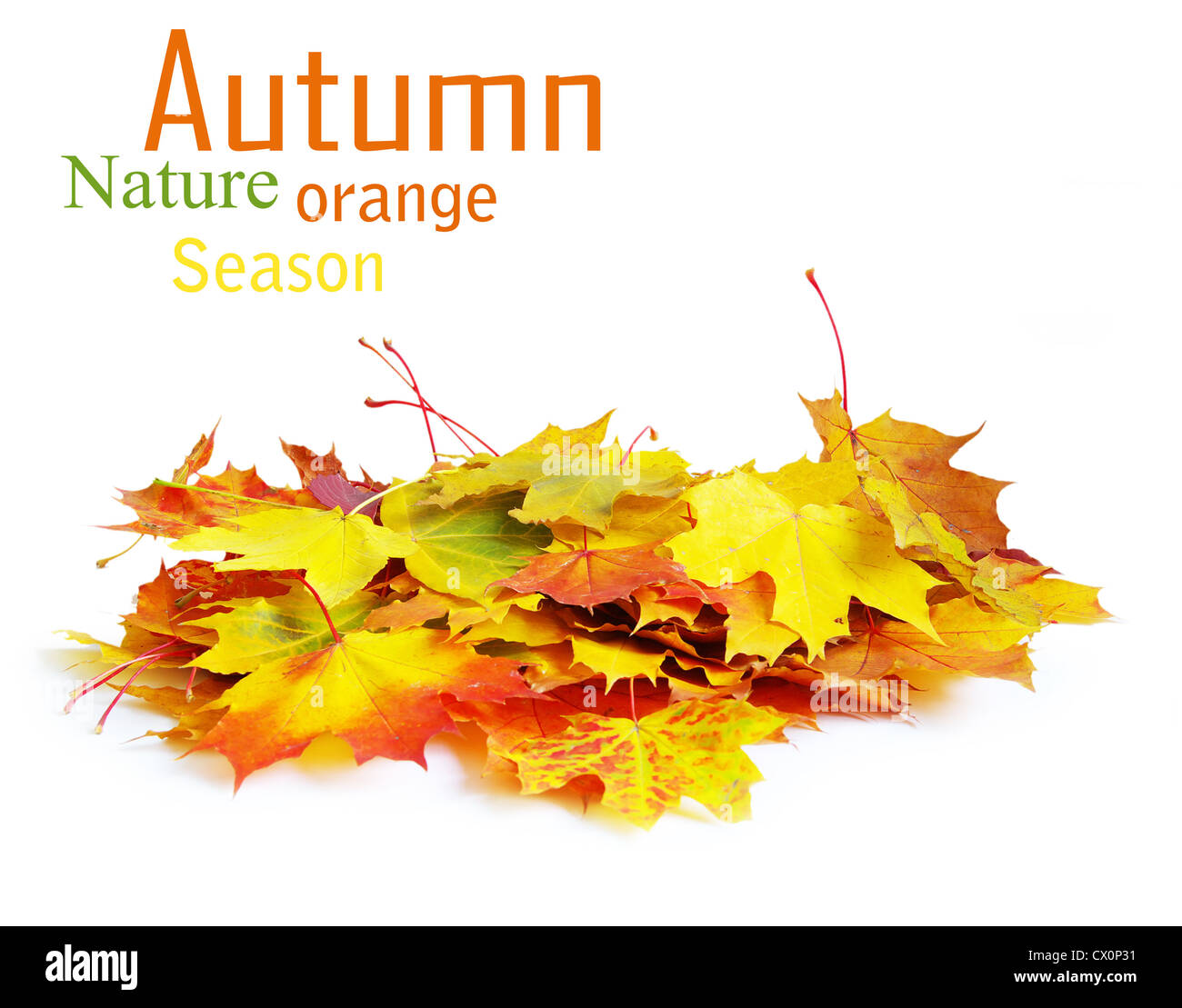 Autumn leaves banner isolated leaf Cut Out Stock Images & Pictures - Alamy