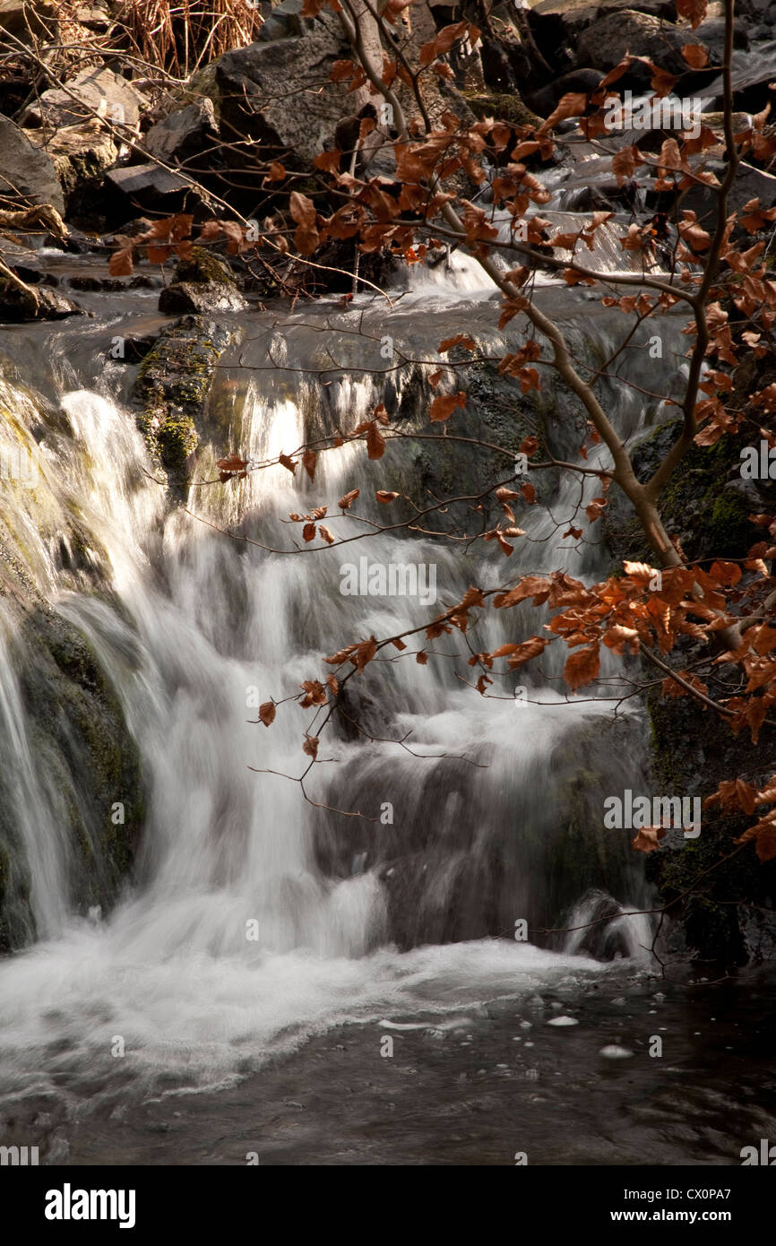 Tom gill waterfall lake district national park hi-res stock photography ...