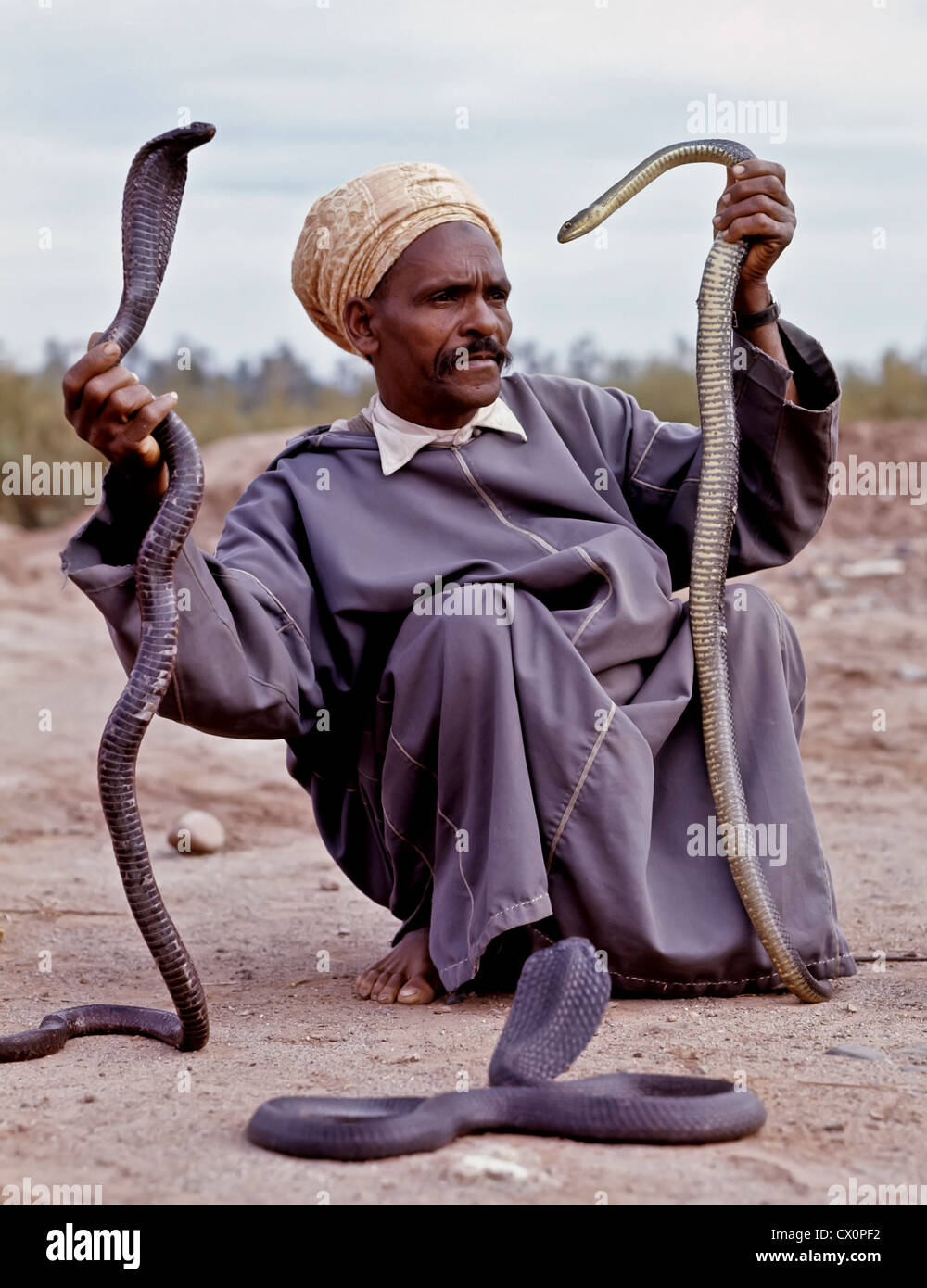 8263. Snake Charmer, Marrakesh, Morocco Stock Photo - Alamy