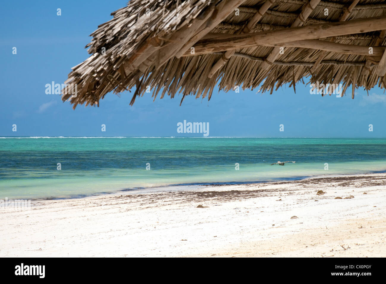 Indian ocean zanzibar hi-res stock photography and images - Alamy