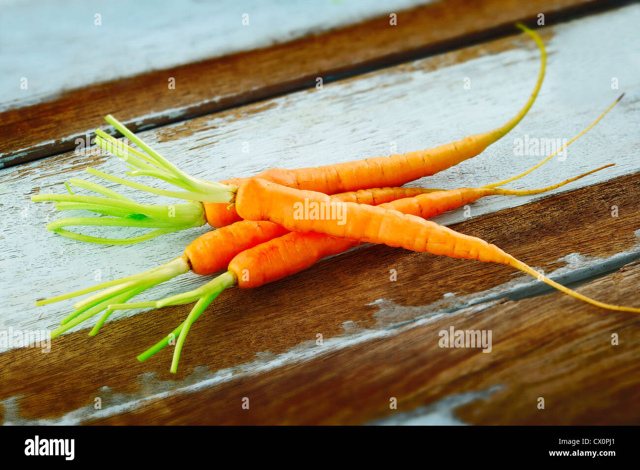 four carrot on wood background Stock Photo - Alamy