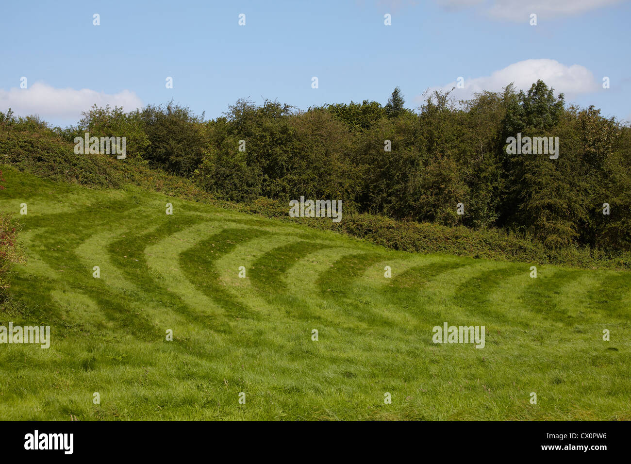 Freshly mowed grass hi-res stock photography and images - Alamy