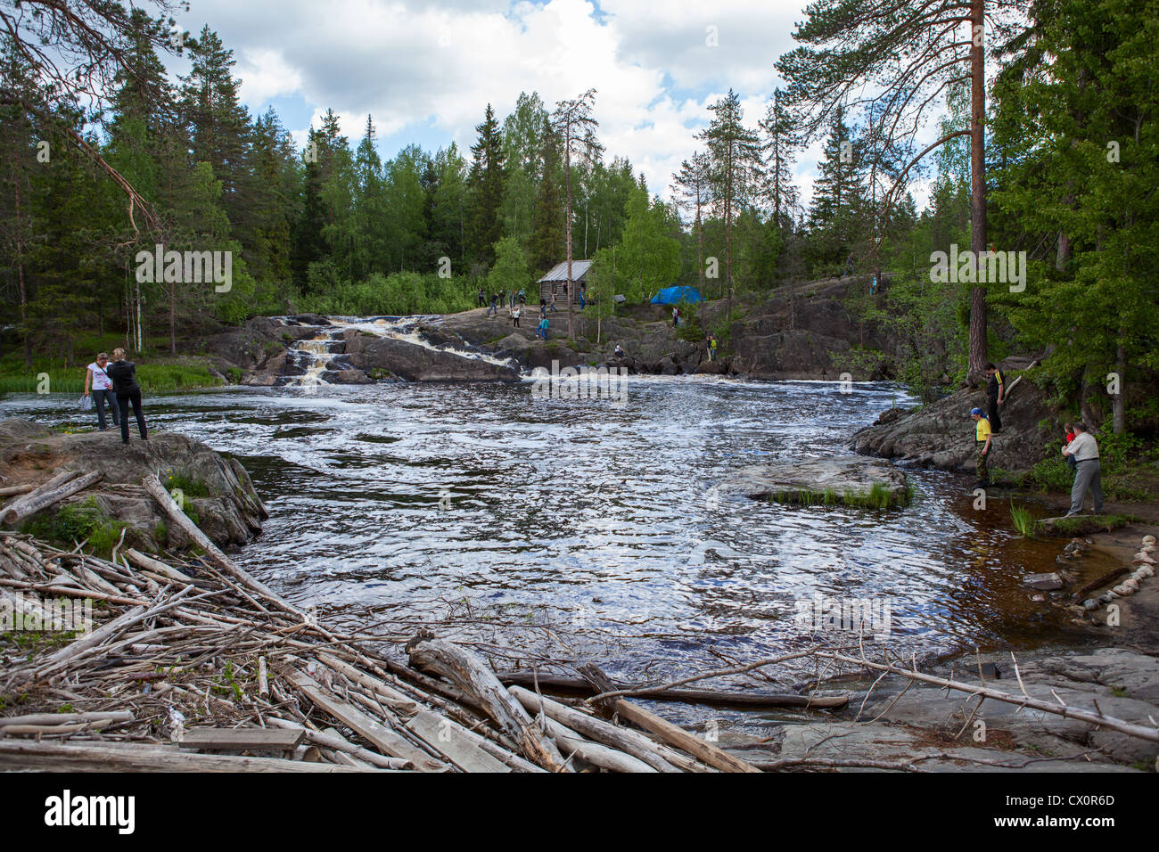 Lowland waterfall in Ruskeala in the Republic of Karelia, Russia. Snags ...