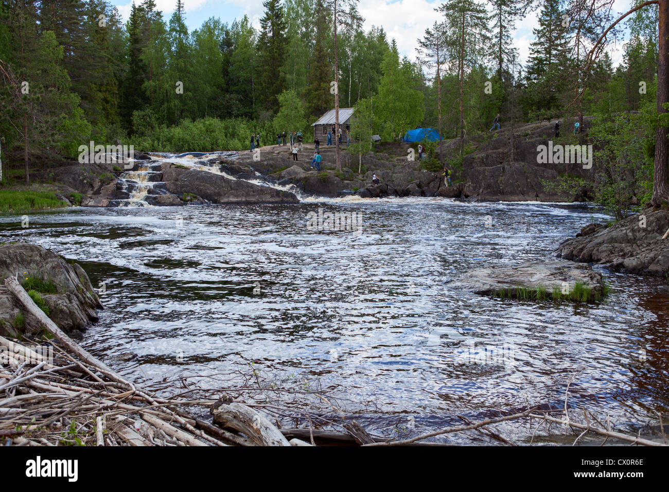 Lowland waterfall in Ruskeala in the Republic of Karelia, Russia. Snags ...